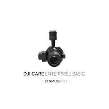 DJI Care Enterprise Plus Renew (M350 RTK) – The Bionic Eye